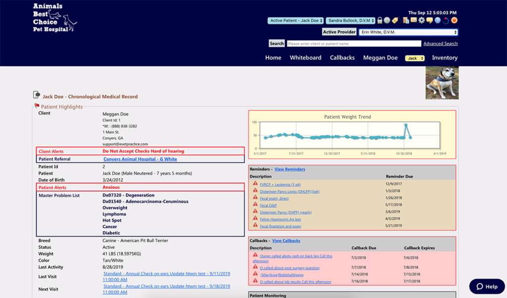Veterinary software your business will benefit from in 2020