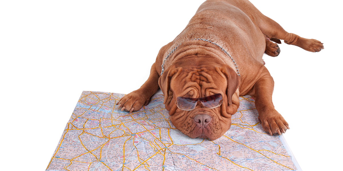 Next In Line Leverages Google Maps to Better Serve Mobile Veterinarians
